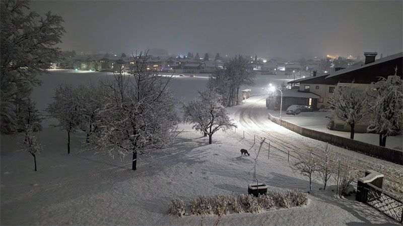 Winternacht – Analysen, Vergleiche & Schülerarbeiten zu Joseph von ...